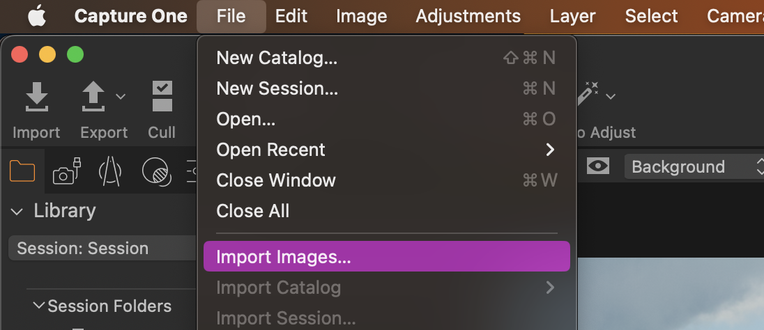 Importing images into a Session – Home