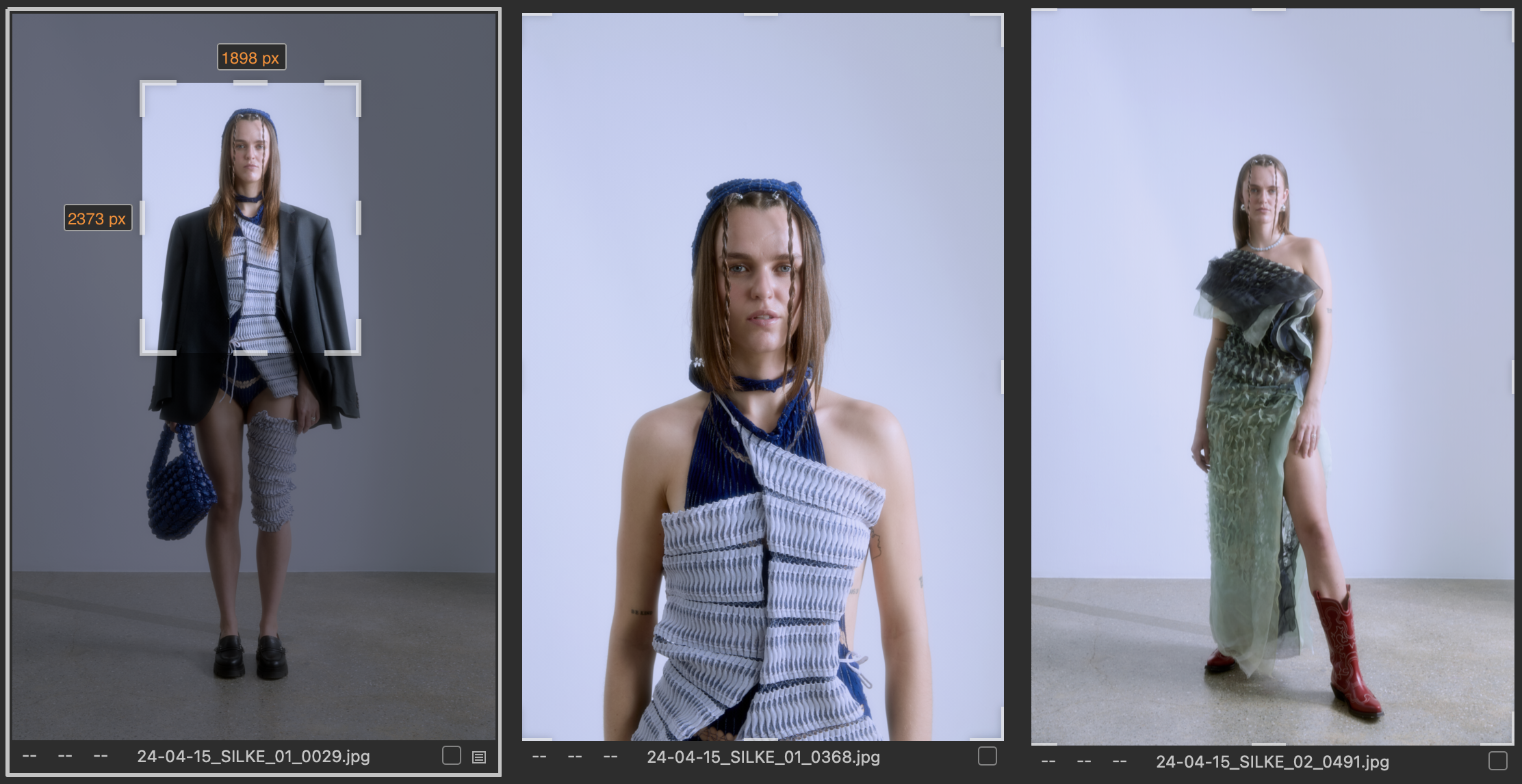 AI Crop (Pro, Studio) – Home