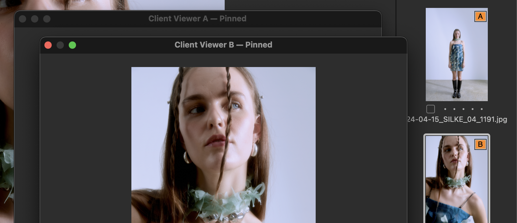 Client Viewers (Studio) – Home