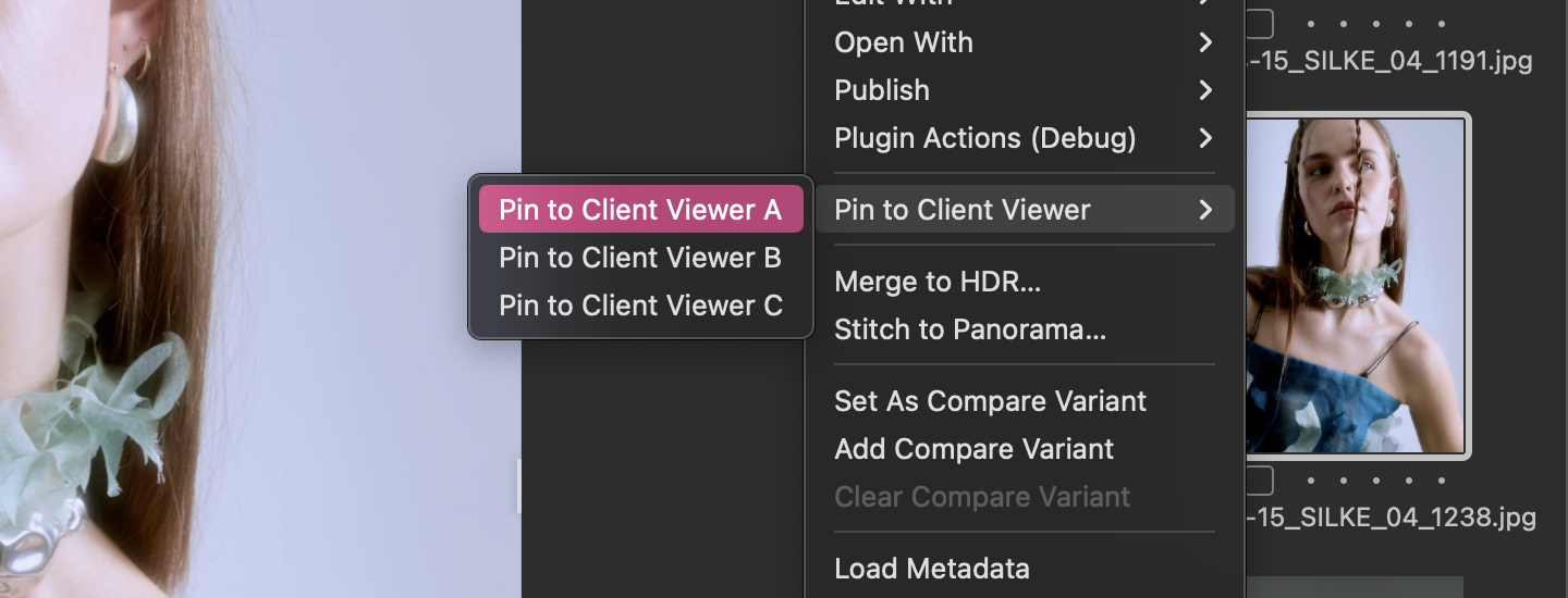 Client Viewers (Studio) – Home