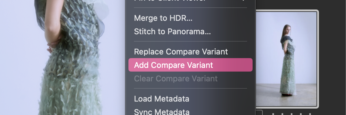 Compare Variant (Pro, Studio) – Home
