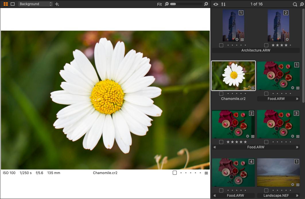 The Browser overview – Home
