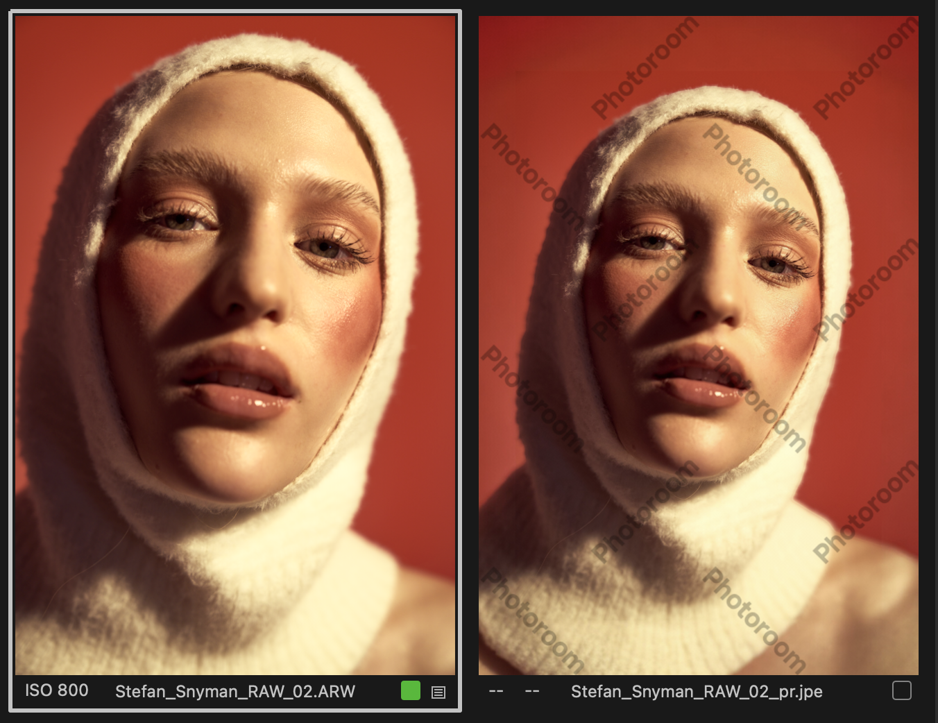 Edit Background with Photoroom API (All in One and Studio in Sessions ...