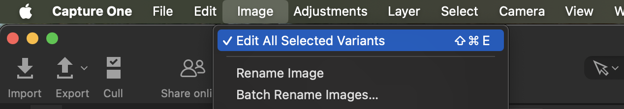 Can’t export multiple images in Capture One – Home