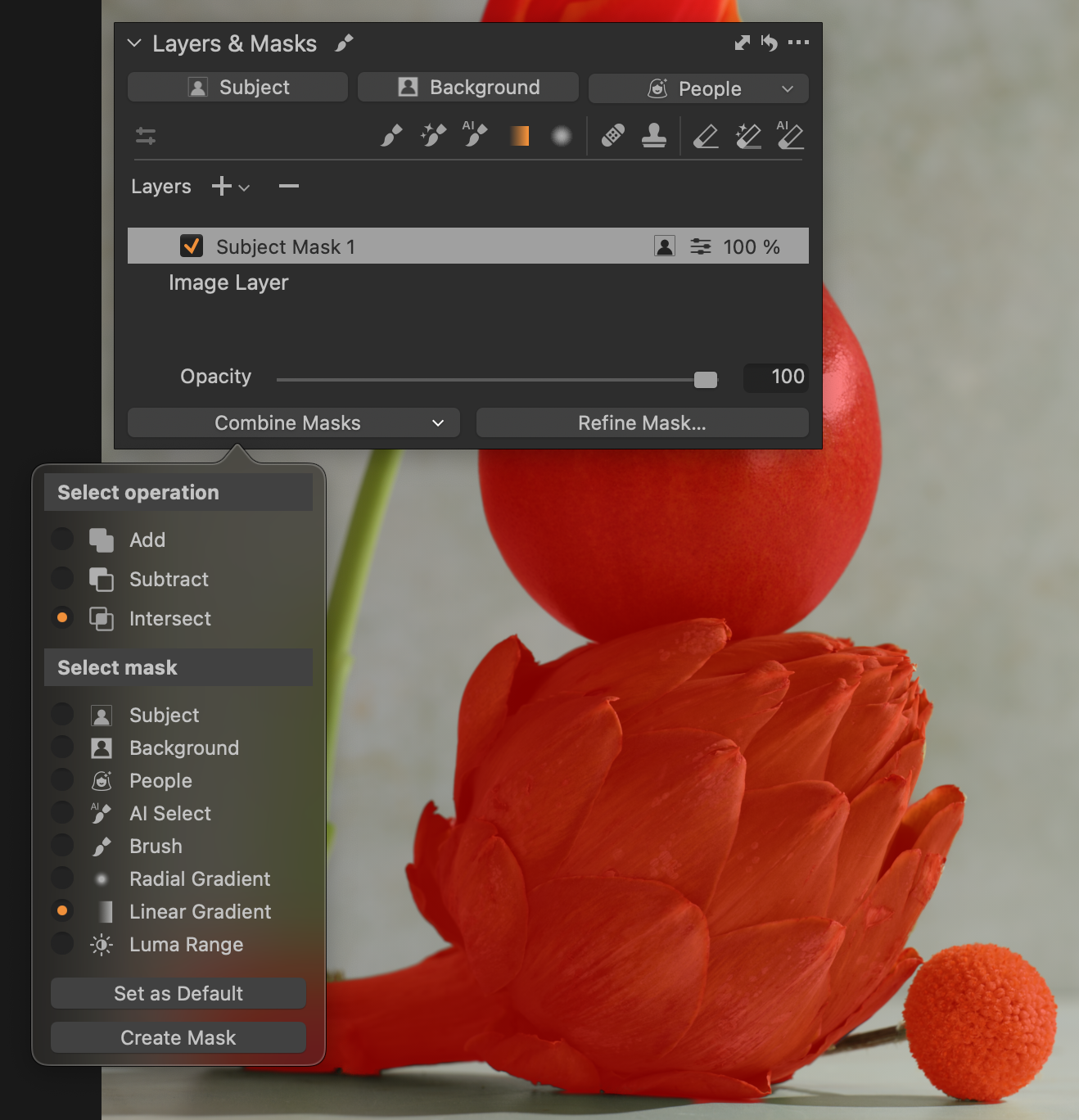 Combine Masks – Home