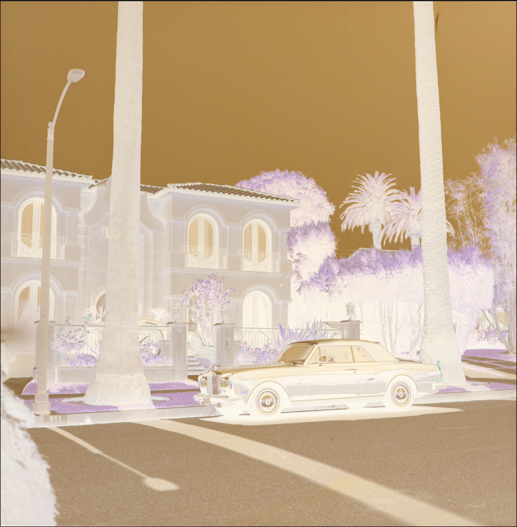 Negative Film Conversion – Home