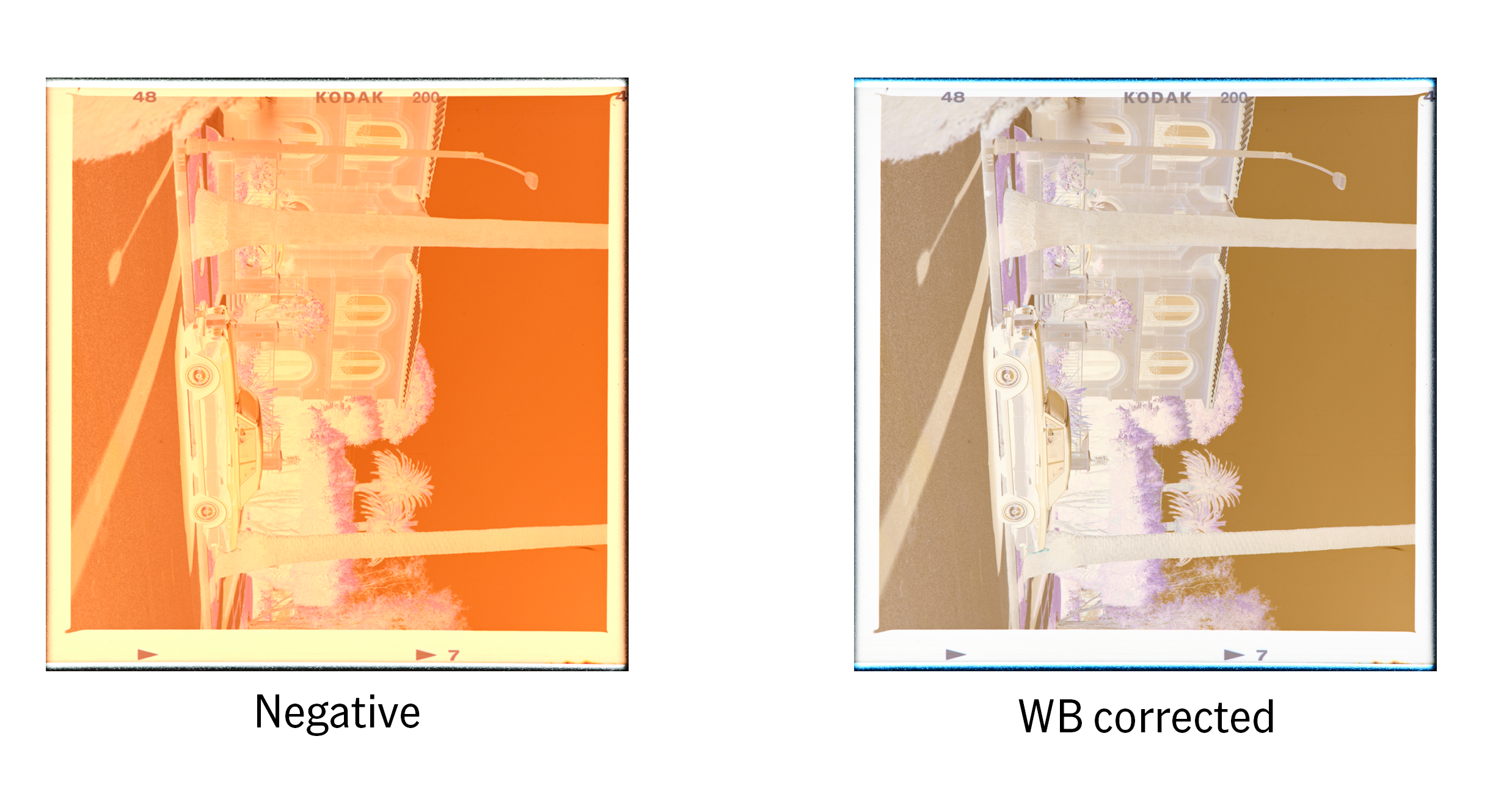 Negative Film Conversion – Home