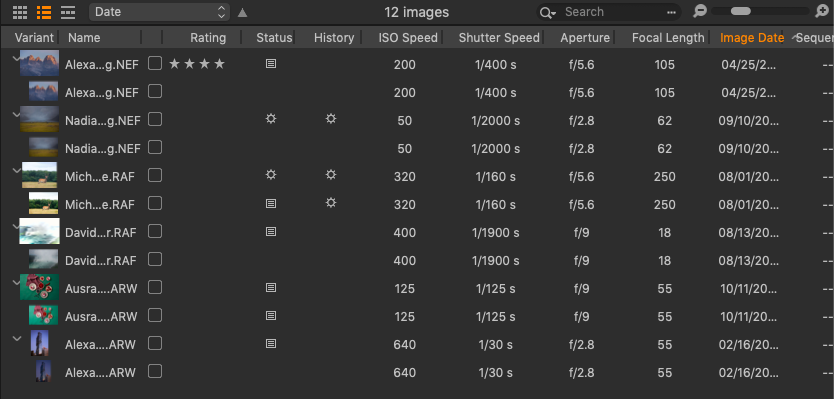 Icons in Capture One – Home