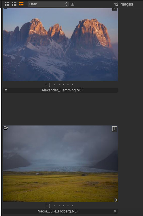 Icons in Capture One – Home