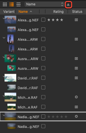 Icons in Capture One – Home