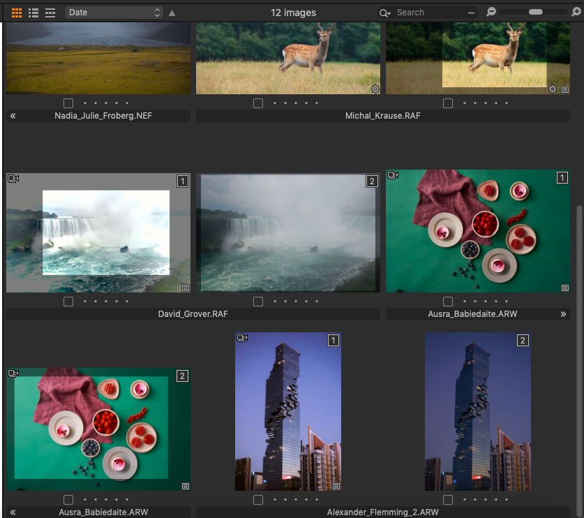 Icons in Capture One – Home
