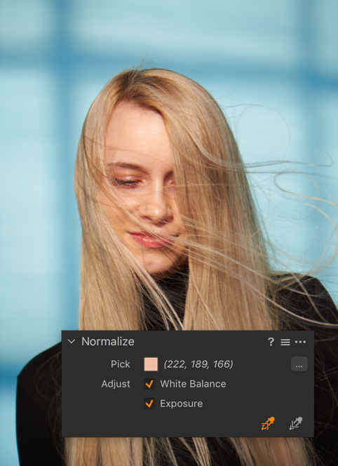 Resetting the color values in the Normalize tool – Home