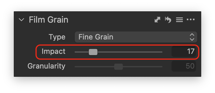 The Film Grain tool overview – Home